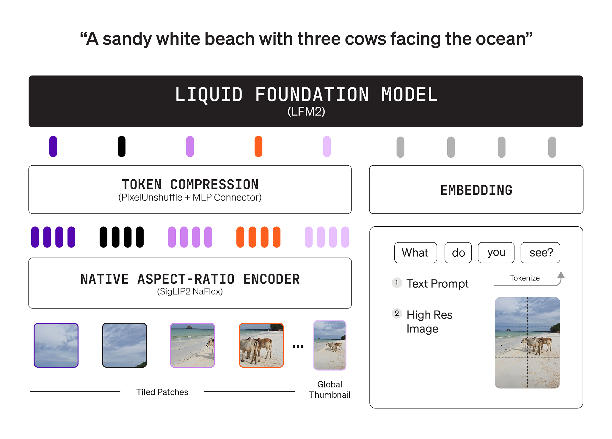 LFM2-VL: Efficient Vision-Language Models | Liquid AI
